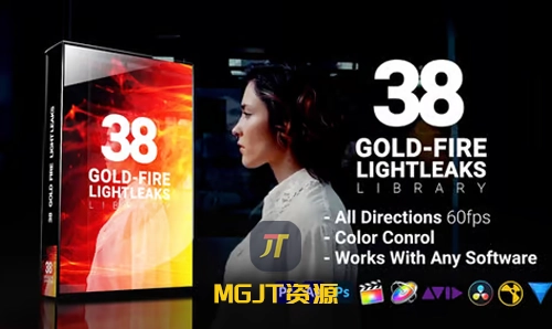 6组 3D金色火焰漏光效果 PR 模板（60FPS）-MGJT资源