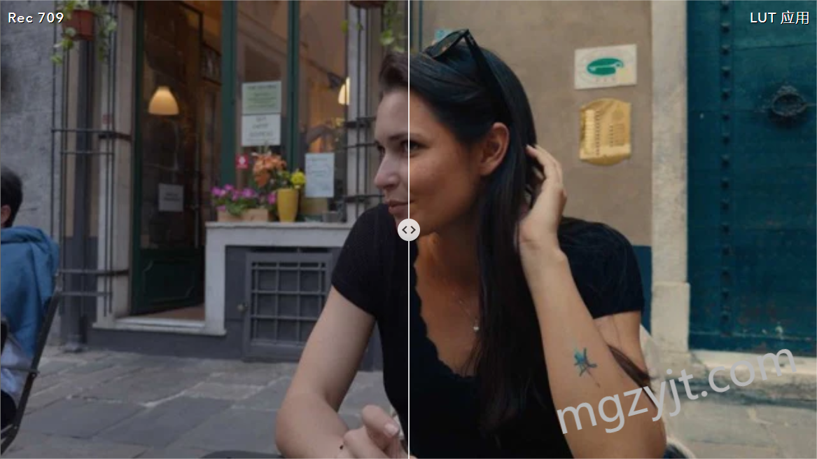 ABSOLUTS Vision 3 500T浓郁色彩自然肤色胶片调色LUTs Kodak Vision 3 Lut for iPhone-MGJT资源